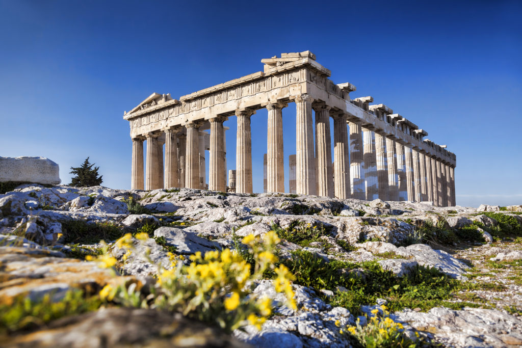 Major Guide: Biology | Programs Abroad